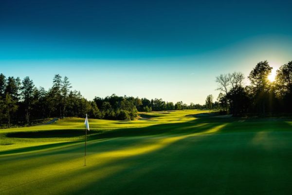 Forest Dunes: The Loop Black - GOLF STAY AND PLAYS