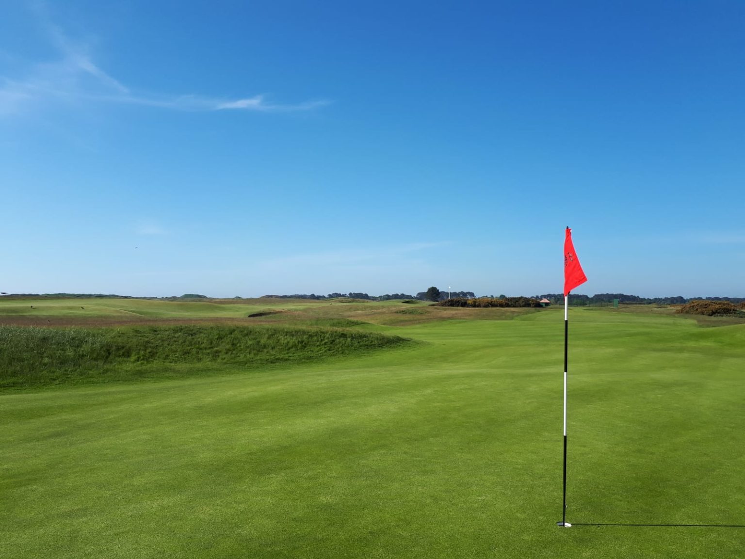 Carnoustie Golf Links: Buddon Course - GOLF STAY AND PLAYS