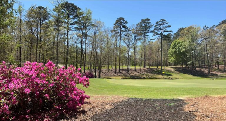 Dancing Rabbit Golf Club: The Oaks - GOLF STAY AND PLAYS